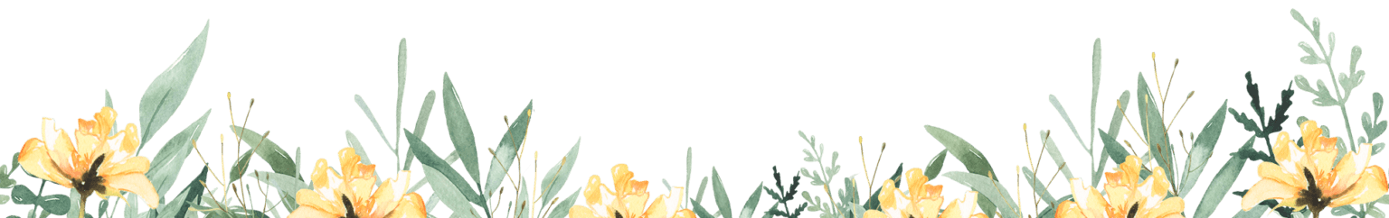 Susan Sands – Author of Women's Southern Fiction